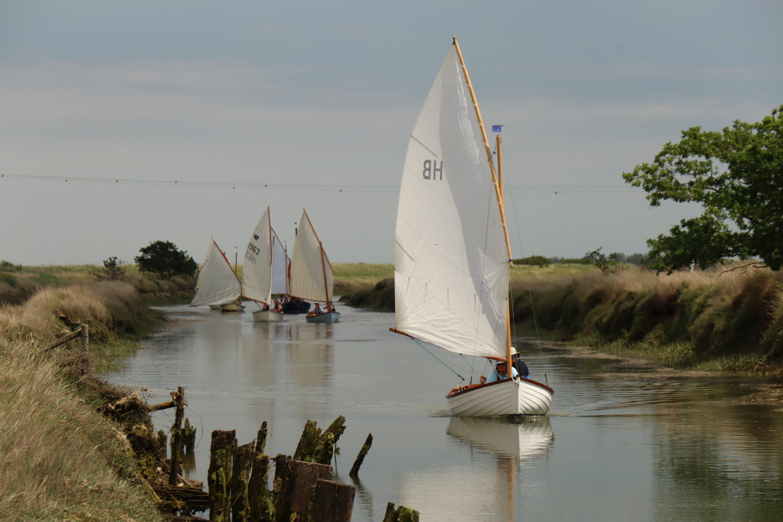 Swallows and Amazons: June 2025 – EASTCOASTER