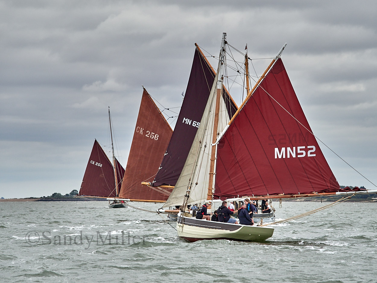 East Coast Race, 5 July 2025 – EASTCOASTER NEWS